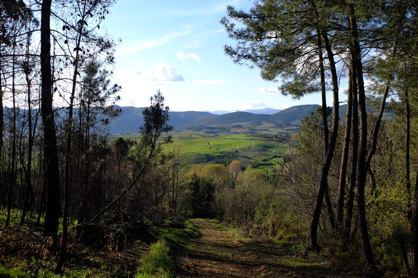 La leyenda de las 7 hermanas | Asodebi